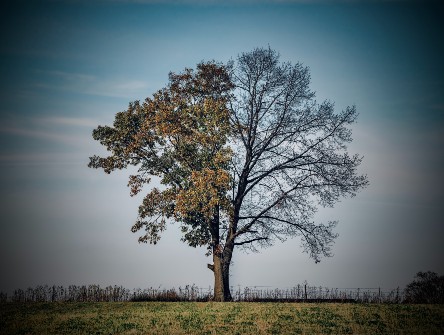 National - The environmental divide